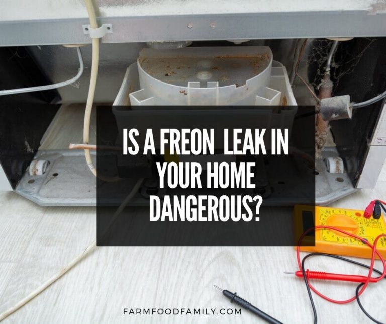Is A Freon Leak In Your Home Dangerous? [How To Detect & Prevent]