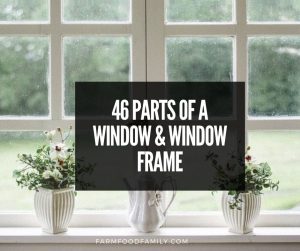 46 Different Parts of a Window and Window Frame (With Diagram)