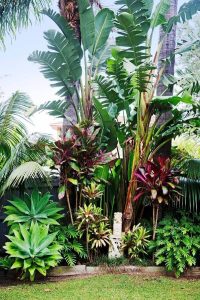 25+ Beautiful Tropical Backyard Landscaping Ideas & Designs [2024 ]