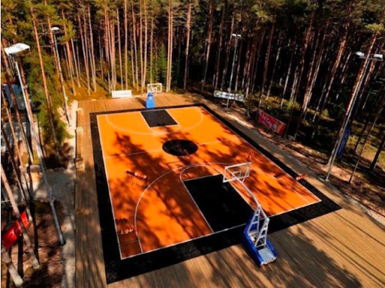 25+ Best Backyard Basketball Court Ideas and Designs – FarmFoodFamily