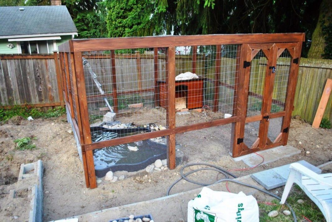 25+ Awesome DIY Backyard Duck Pond Ideas & Designs For 2024