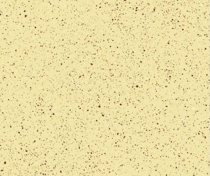 15+ Different Types of Wall Textures That You Need To Know (With Photos)