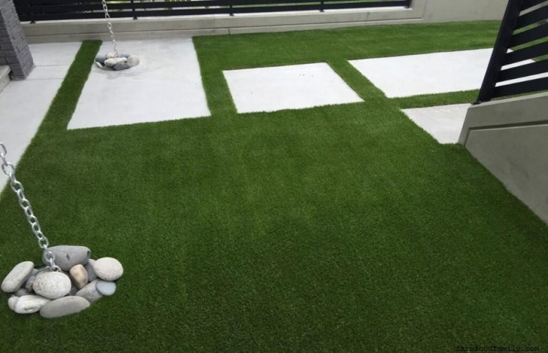 25+ Best Backyard Artificial Turf Ideas & Designs For Landscaping 2024