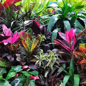 25+ Beautiful Tropical Backyard Landscaping Ideas & Designs [2024 ]