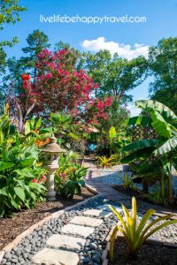 25+ Beautiful Tropical Backyard Landscaping Ideas & Designs [2024 ]