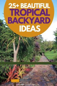 25+ Beautiful Tropical Backyard Landscaping Ideas & Designs [2024 ]