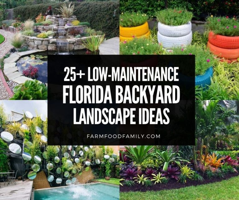 25+ Cheap and Low-Maintenance Florida Landscape Ideas For Small Yards ...