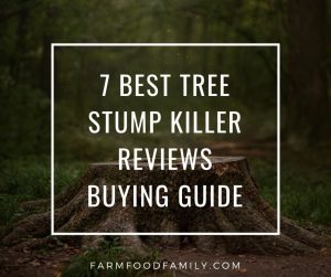7 Best Tree Stump & Root Killer Reviews For 2024 - Buying Guide