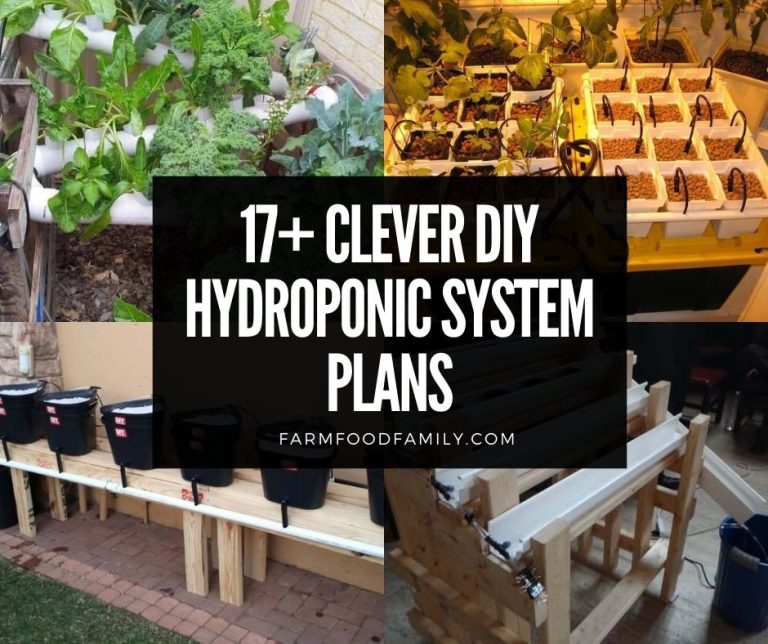 17+ Clever DIY Hydroponic System Plans & Designs For Beginners (2024)