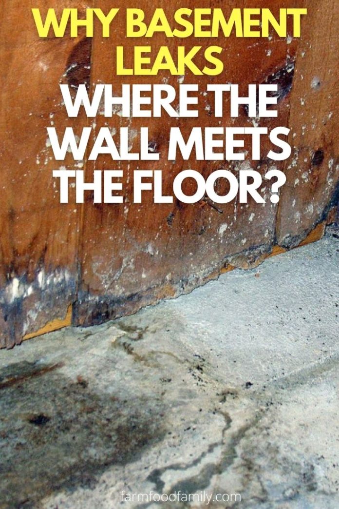 Why Basement Leaks Where The Wall Meets The Floor? - How To Fix