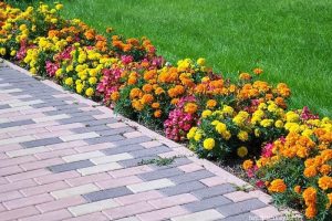 10+ Inexpensive Driveway Edging Ideas & Designs (Gravel, Asphalt,..)
