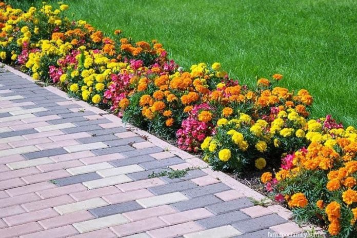 10+ Inexpensive Driveway Edging Ideas & Designs (Gravel, Asphalt,..)