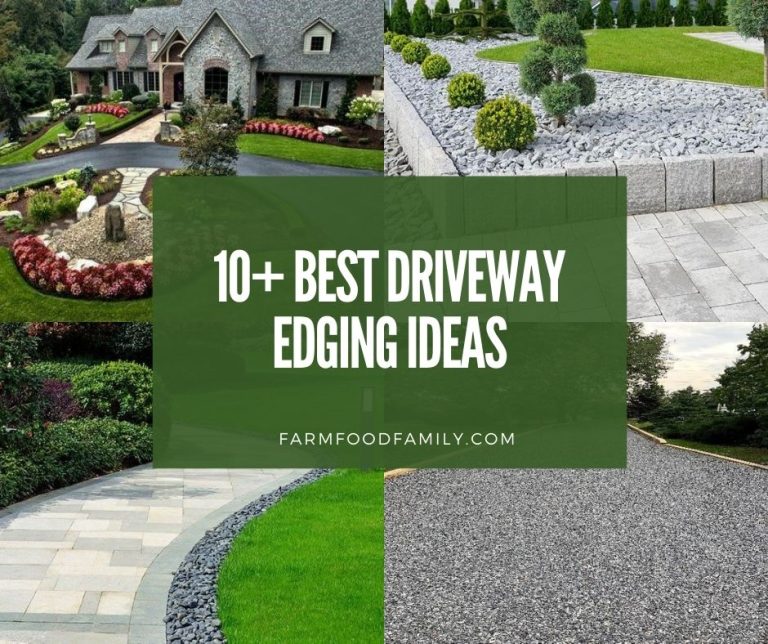 10+ Inexpensive Driveway Edging Ideas & Designs (Gravel, Asphalt,..)