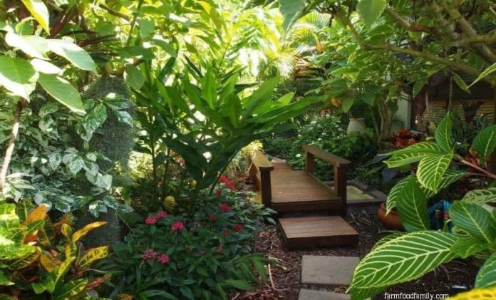 13+ Beautiful Hawaiian Landscaping Ideas & Designs For Your Backyard