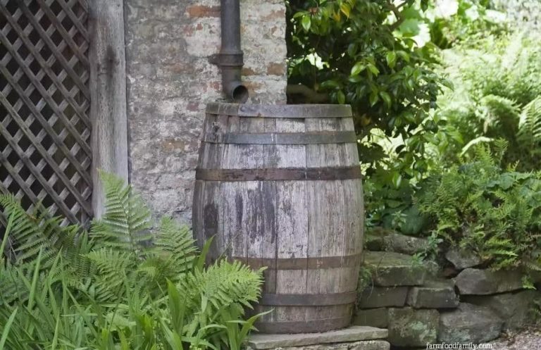 18+ Best Drainage Ditch Landscaping Ideas & Designs For Your Yard