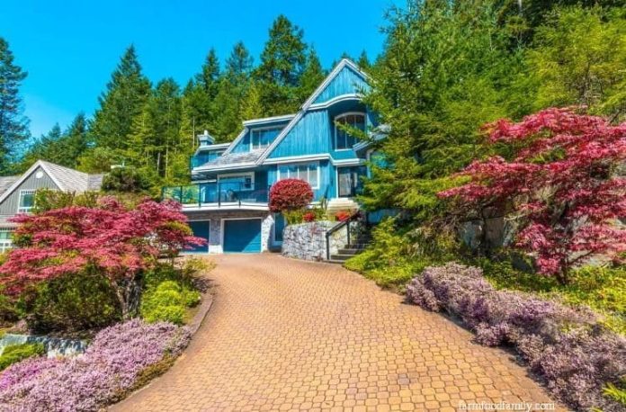 14+ Beautiful Pine Tree Landscaping Ideas & Designs For Your Yard
