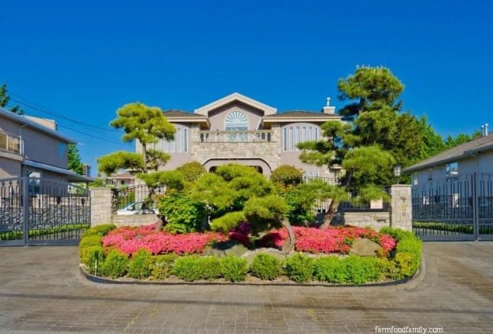 14+ Beautiful Pine Tree Landscaping Ideas & Designs For Your Yard