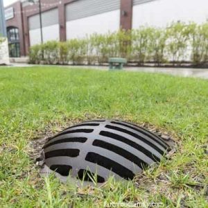 18+ Best Drainage Ditch Landscaping Ideas & Designs For Your Yard