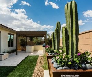 20+ Best Texas Backyard Landscaping Ideas & Designs (With Pictures)