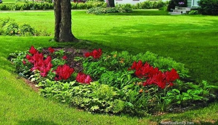 18+ Best Drainage Ditch Landscaping Ideas & Designs For Your Yard