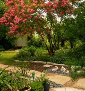 20+ Best Texas Backyard Landscaping Ideas & Designs (With Pictures)
