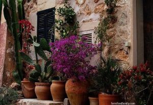 24+ Landscaping Ideas To Hide Utility Boxes – FarmFoodFamily