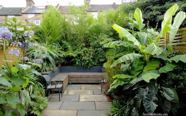 13+ Beautiful Hawaiian Landscaping Ideas & Designs For Your Backyard