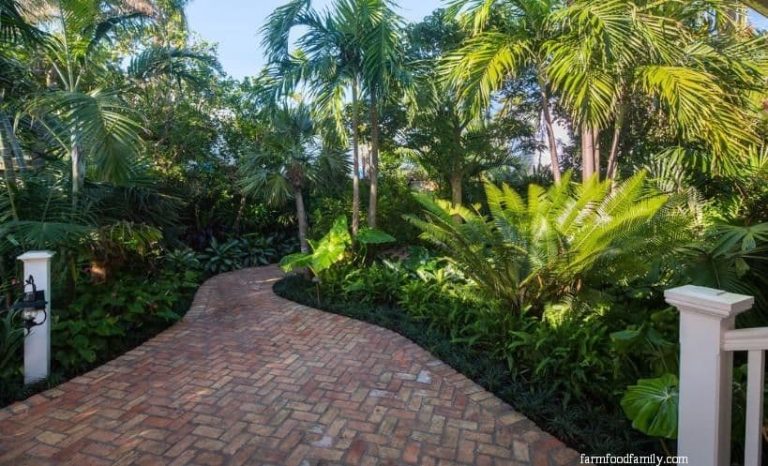 13+ Beautiful Hawaiian Landscaping Ideas & Designs For Your Backyard