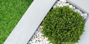 18+ Best Drainage Ditch Landscaping Ideas & Designs For Your Yard