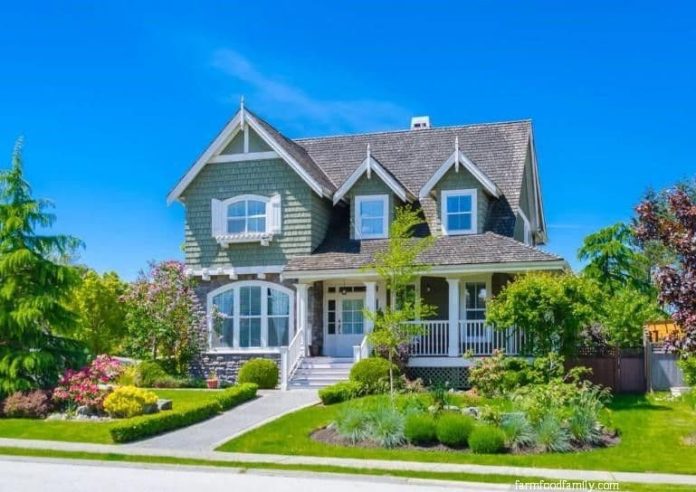 14+ Beautiful Pine Tree Landscaping Ideas & Designs For Your Yard