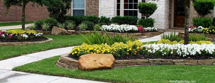 20+ Best Texas Backyard Landscaping Ideas & Designs (With Pictures)