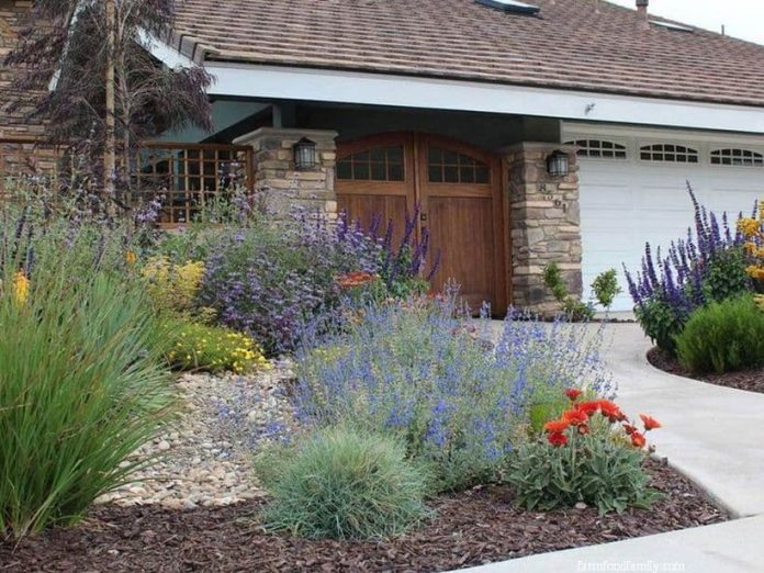 20+ Best Texas Backyard Landscaping Ideas & Designs (With Pictures)