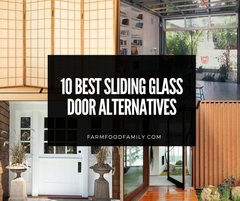10+ Best Alternatives to Sliding Glass Doors (Pros and Cons)
