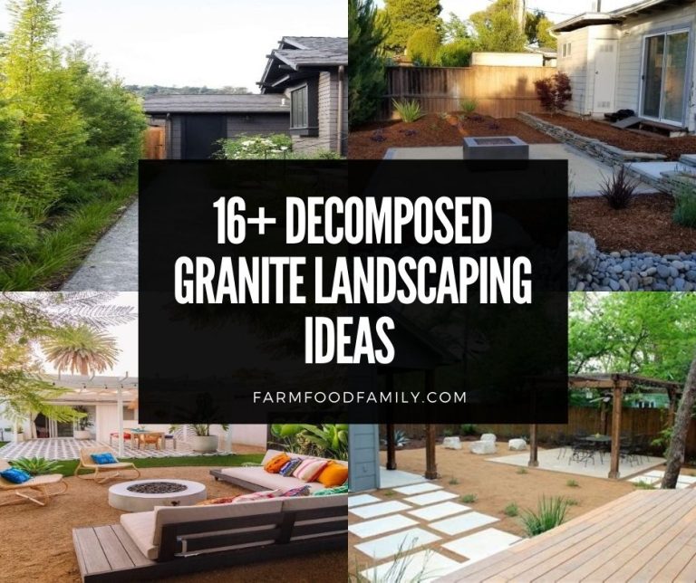 16+ Beautiful Decomposed Granite Landscaping Ideas & Designs
