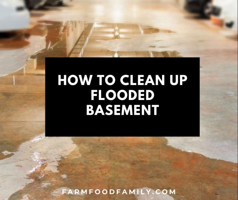 Flooded Basement Cleanup: Restoration Tips & Cost - Ultimate Guide