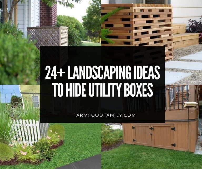 24+ Landscaping Ideas To Hide Utility Boxes – FarmFoodFamily