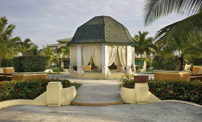 20+ Best Backyard Oasis Ideas and Designs On A Budget (2024)