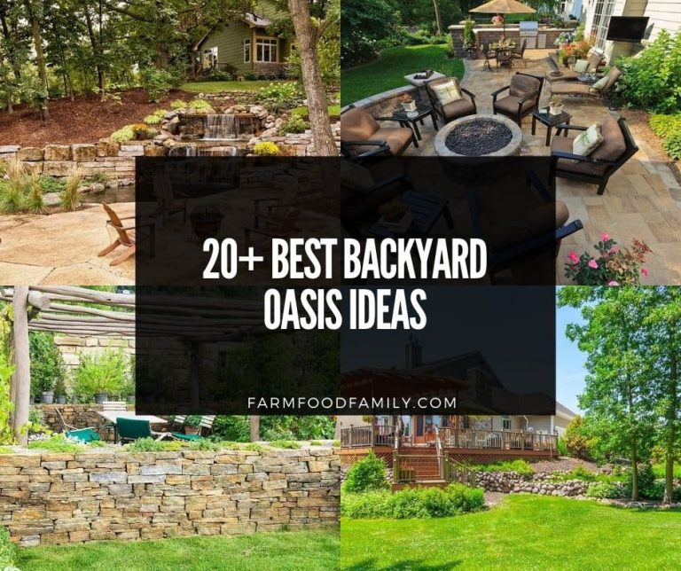 20+ Best Backyard Oasis Ideas and Designs On A Budget (2023)