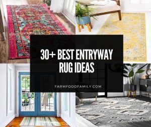 30+ Beautiful Entryway Rug Ideas and Designs (2024)