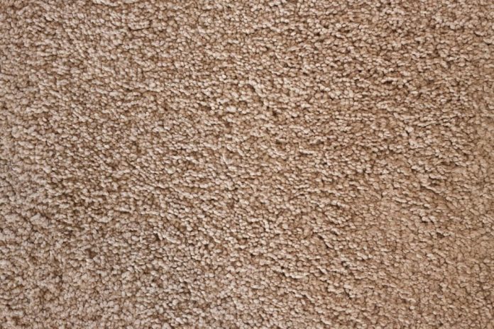 19+ Different Types Of Carpets, Styles, and Pile Options (Buying Guide)