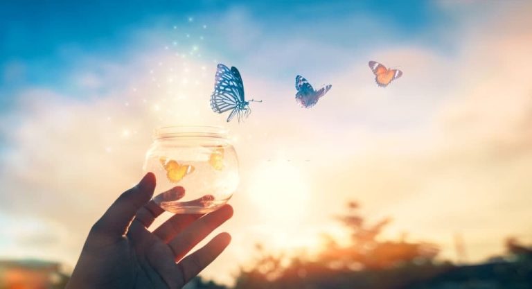 Butterfly Meaning, and Symbolism In Love, Life, and Bible