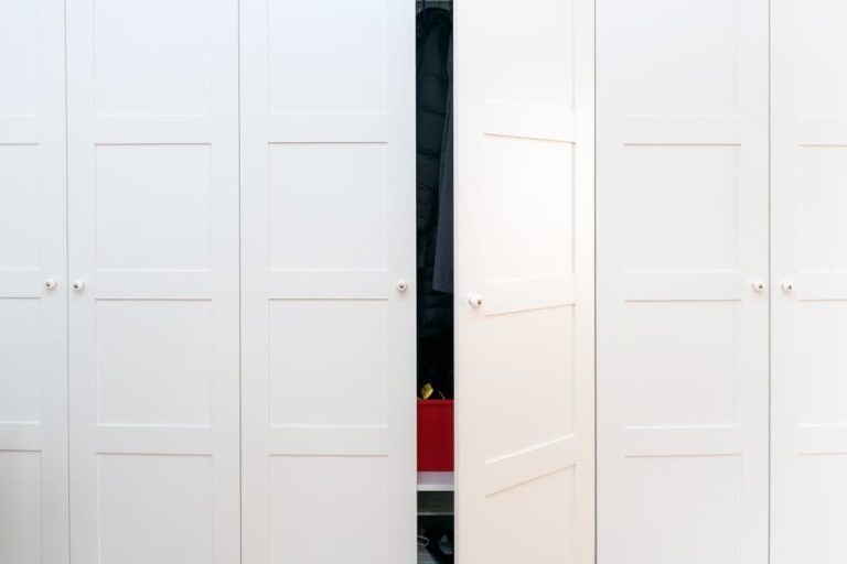 15+ Popular Types Of Closet Doors & Their Pros and Cons (With Pictures)