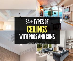 34 Different Types Of Ceilings & Textures With Pictures (Pros and Cons)