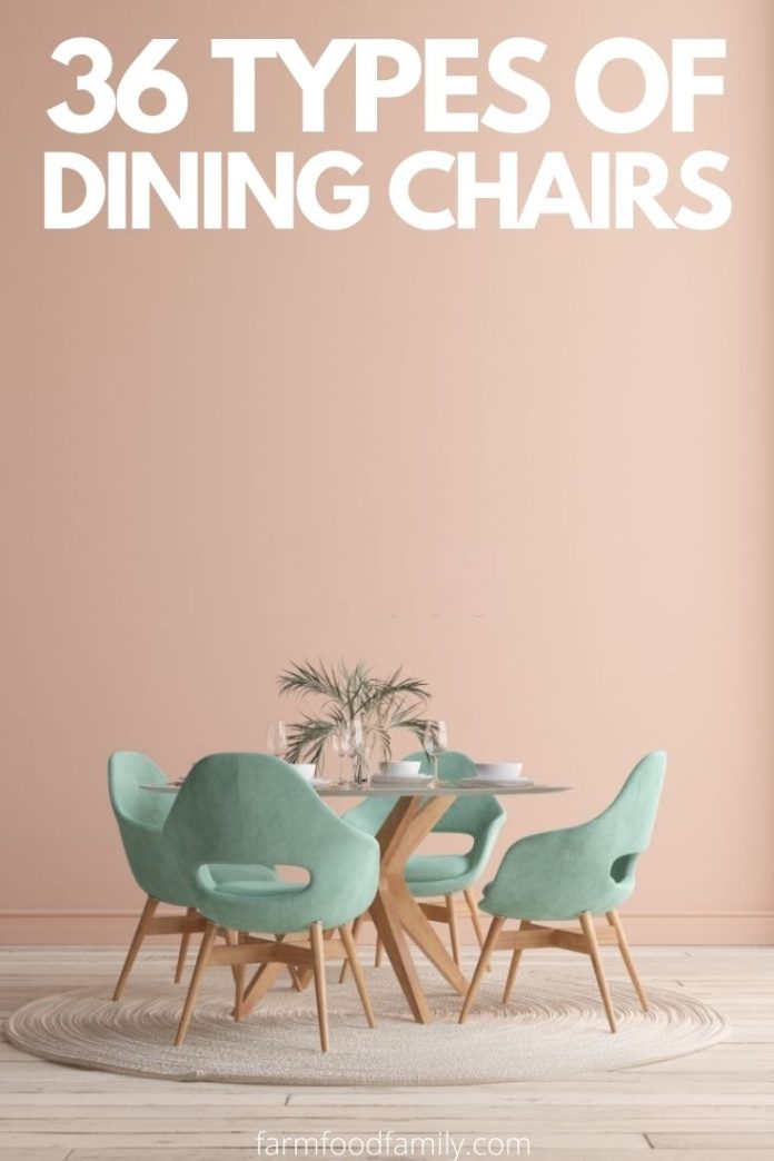 36 Different Types of Dining Room Chairs (Materials, Designs, Styles)