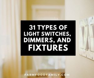 31 Different Types Of Light Switches, Dimmers and Fixtures (With Pictures)
