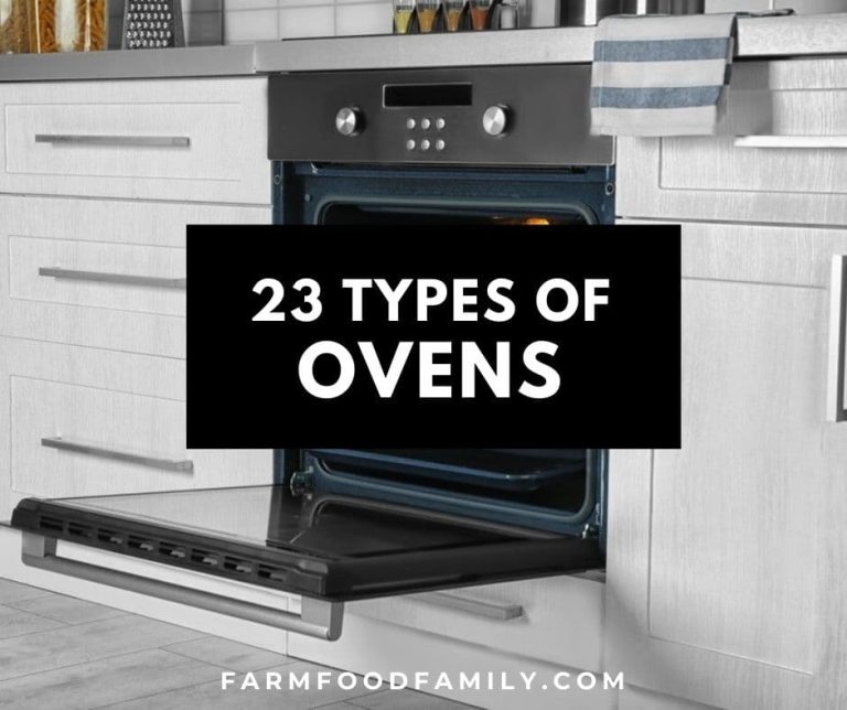 23 Different Types Of Ovens and Brands With Pictures (Buying Guide)