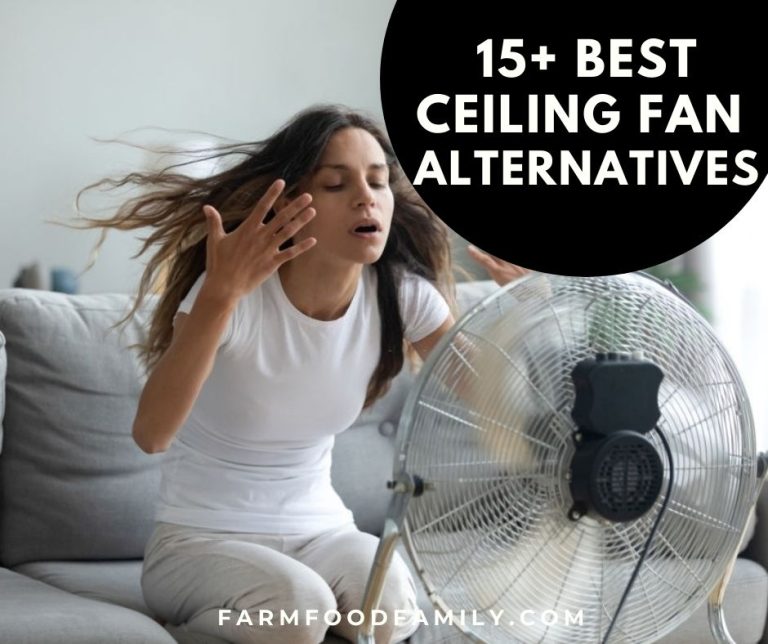 15 Best Ceiling Fan Alternatives For Your House That Really Work