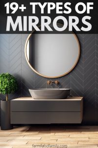 19+ Different Types Of Mirrors With Pictures (Buying Guide)