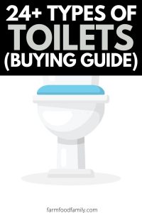 24+ Different Types Of Toilets, Styles, Flush Systems (Buying Guide)