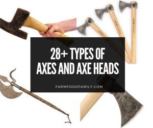 28+ Different Types Of Axes, Axe Heads and Their Uses (With Photos)